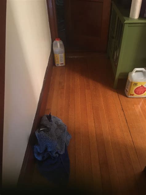 Github Tmp Documentationapt Images