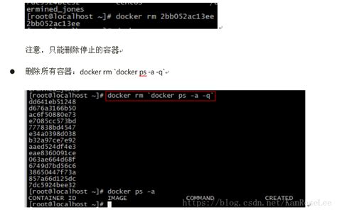 Docker部署大型互联网电商平台虚拟机隔离电商环境 Csdn博客