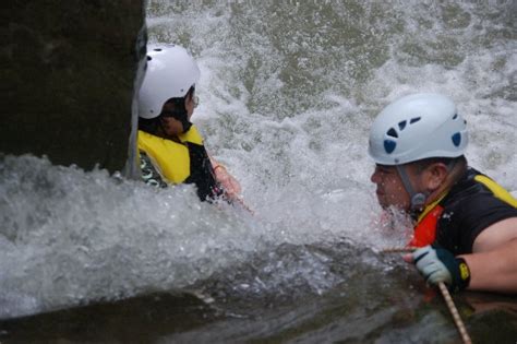 Goforwild Image Of