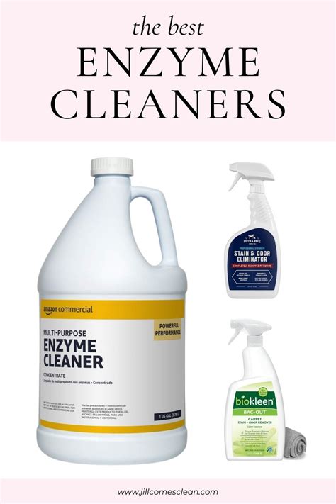 Enzyme Cleaners Your Secret Weapon For Household Cleaning