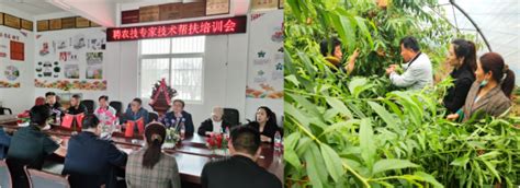 计算机学院赴大荔县开展科技进村助力乡村振兴专项活动 渭南师范学院新闻网