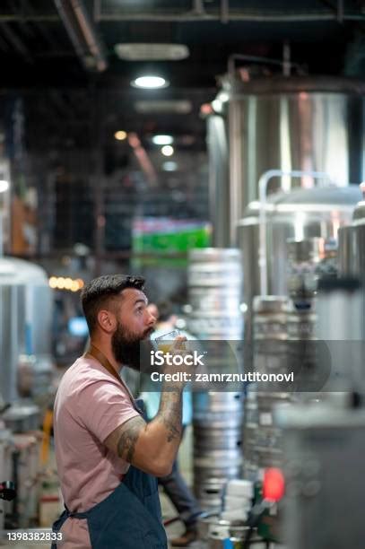 양조장에서 공예 맥주의 품질을 검사하는 수염이있는 남자 30 34세에 대한 스톡 사진 및 기타 이미지 30 34세 Stem 주제 건강관리와 의술 Istock