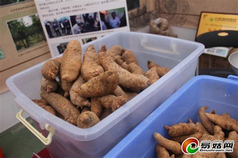 b7 b9 贵州天德农产品开发有限责任公司 食用菌2014第三届全国天麻会议 网络展厅 食用菌图库 易菇网 食用菌产业门户网站 食用菌产业门户网