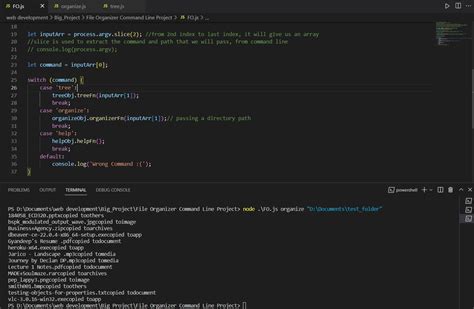 GitHub TheGDM File Organizer