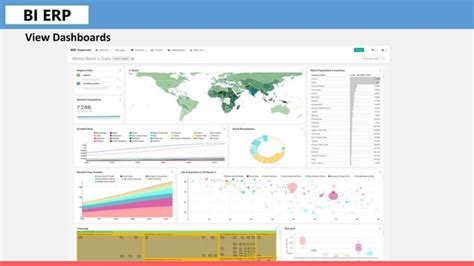 Business Intelligence Erp Pptx