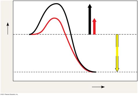 Enzyme Activation Energy Graph