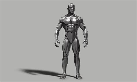 Male Anatomy Reference 3d Print Model Cgtrader