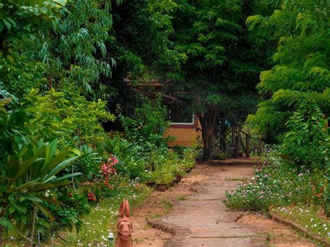 Indrani Chakraborty on LinkedIn: Svanir Wilderness Ecostay: A Chat with Indrani Chakraborty