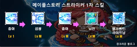 메이플스토리 스트라이커스커 스킬트리하이퍼스킬스텟코어강화코강공략 네이버 블로그