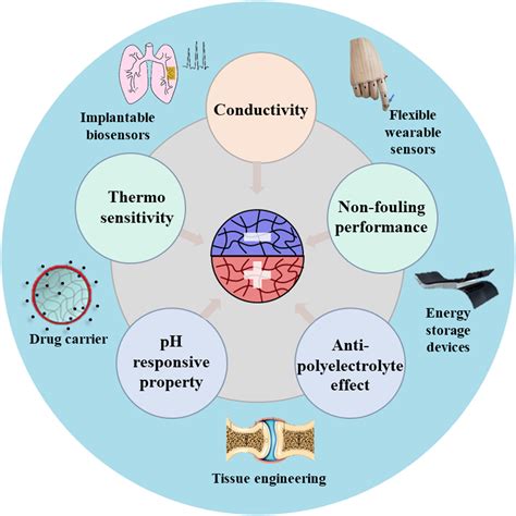 Zwitterionic Hydrogels And Their Biomedical Applications A Review
