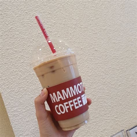 일산문화공원카페 맘모스커피 매머드커피 가격 메뉴추천 🥤🥤[mammoth Express] 네이버 블로그