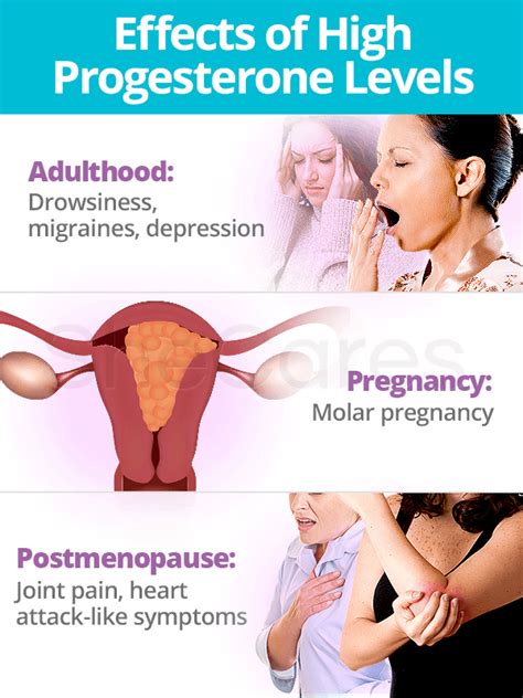 Progesterone Levels SheCares