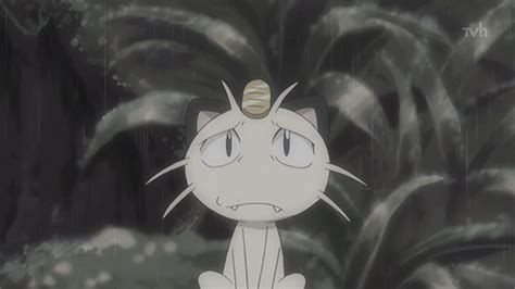 Bewear Comforting Meowth Pokémon Sun And Moon Know Your Meme