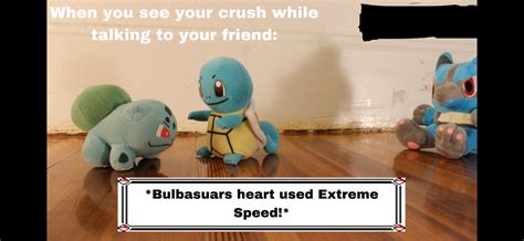 Proviable Forte Vs Proviable Dc Raskvet