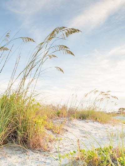 Beaufort County Personal Injury Lawyers Bauer And Metro Pc