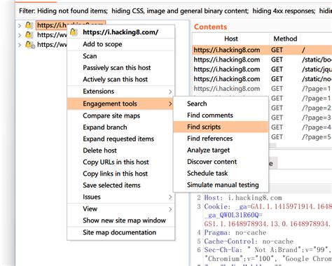 渗透过程中的js Pyroxenite