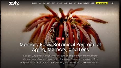 Memory Pods Featured On Dodho Magazine Singular Images