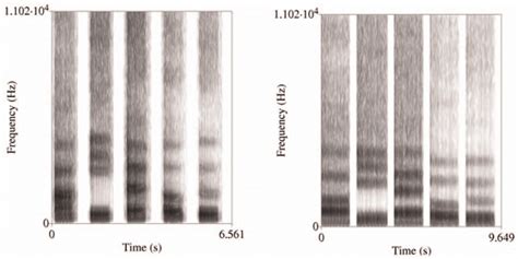 Spectrograms Of The Average Female Left Panel And Male Voice Right