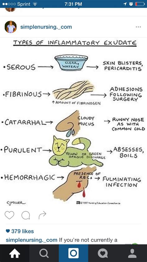 Proper Way To Describe Drainage Nursing Study Nursing School