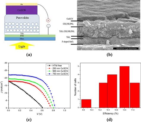 A Schematic Illustration Of Mesoscopic N I P Configuration Of Download Scientific Diagram