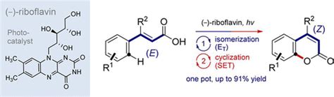 One Photocatalyst NActivation Modes Strategy For Cascade Catalysis