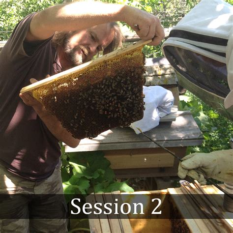 Beekeeping Classes Backyardhive