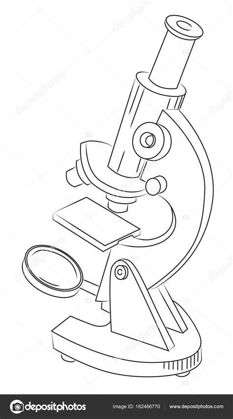 Compound Microscope Drawing At GetDrawings Free Download