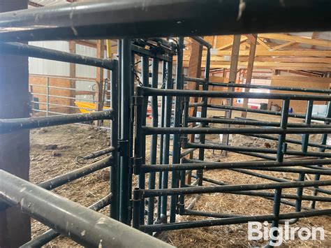 Hi Hog Maternity Pen Wself Head Catch Agriculture Bigiron