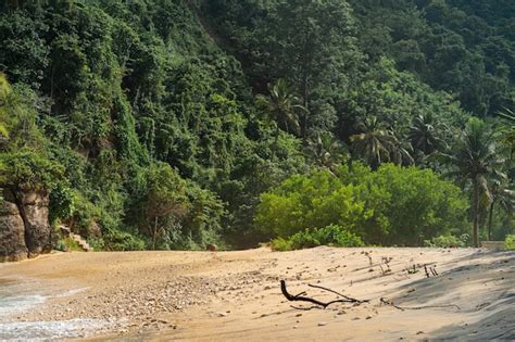 Fundo da natureza oceano azul onda corre na costa borda do penhasco vegetação tropical