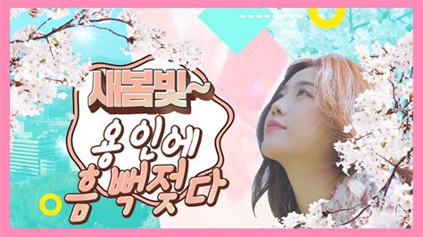 새봄빛 용인에 흠뻑젖다 YouTube