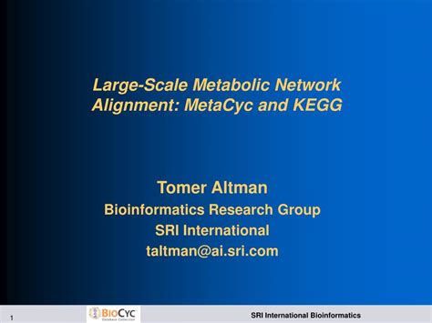 Ppt Large Scale Metabolic Network Alignment Metacyc And Kegg