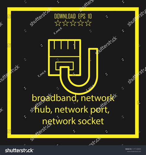 Broadband Network Hub Network Socket Vector Stock Vector Royalty Free 1171140955 Shutterstock