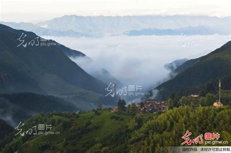 西坑村松阳四都乡西坑村 随意云
