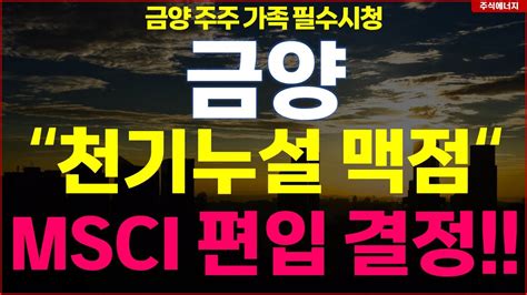 금양 천기누설 맥점 Msci 편입 결정됐다 금양 주주 가족 필수시청 Youtube