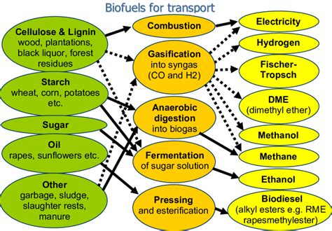 Biomass Can Be Divided Into Groups Depending On Chemical Composition Of