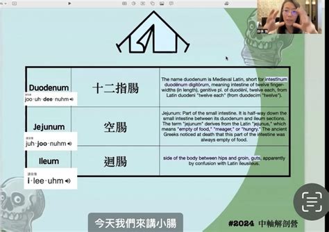 「解剖營 中軸 Day9 小腸 心得」 1 小腸分為十二指腸、空腸、迴腸。 2 十二指腸與空腸交界轉折處djj，在l2高度，透過t字