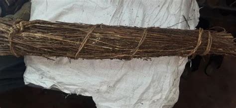 Brown Dried Andrographis Paniculata Chirayatha Asli Asal Nilavembu