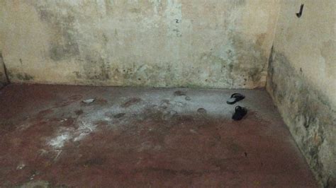 Flagrante De Tráfico De Drogas No Jardim Eloisa Resulta Em Duas Prisões