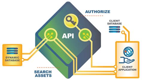 Dynamic Lifecycle Innovations Api Solution Ebook