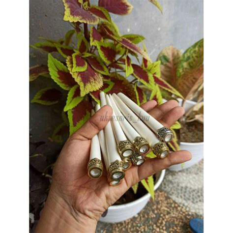 Jual Pipa Rokok Tulang Sapi Shopee Indonesia