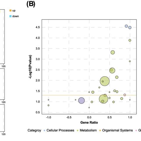 Growth And Morphology Of B Licheniformis A The Growth Curves Of B