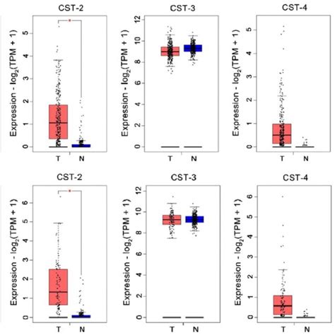 Upregulation Of Cst1 And Cst2 At The Mrna Level In Colorectal Cancer Download Scientific