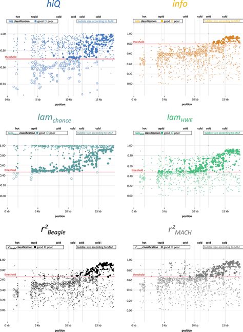 Example Of Real Data Genotype Imputation Accuracy Measures For The