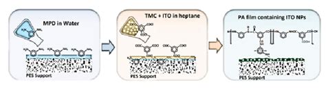 The Fabrication Of Tfn Membranes Via Adding Ito Nps During Ip Reaction