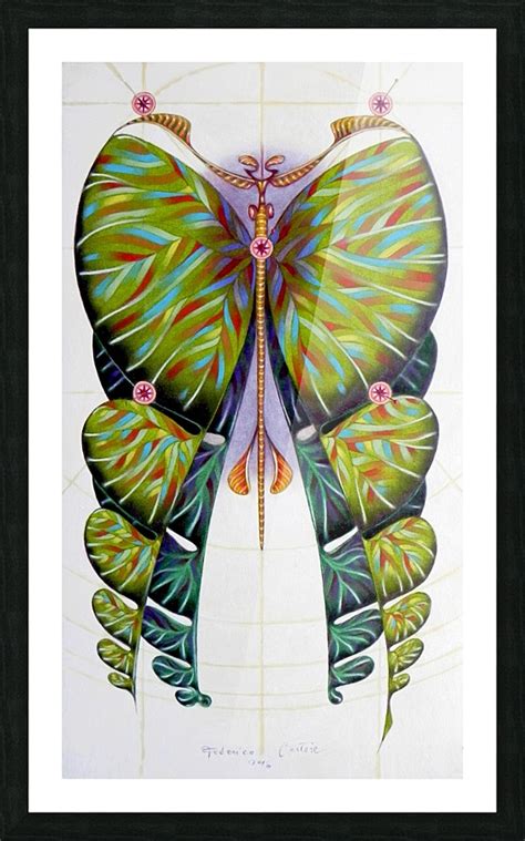 Fibonacci Butterfly Federicocortese