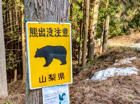 【速報】山梨県道志村で人骨を発見 未成年の骨か 3年前にキャンプ場で行方不明になった小倉美咲さんの可能性 爆報トレンドチャート