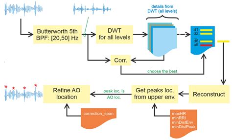 Discrete Wavelet Transforms Based Analysis Of Accelerometer Signals For Continuous Human Cardiac