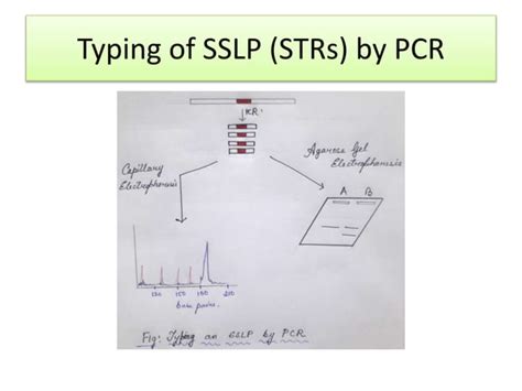Gene Mapping Methods Pptx