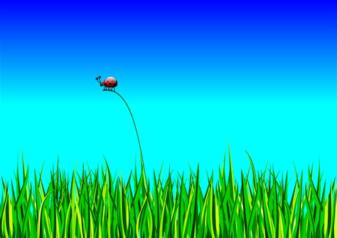 Clipart Grass With Bug