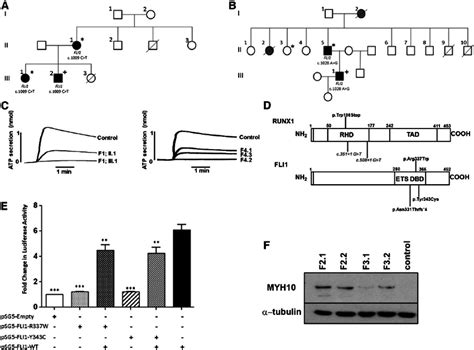 Excessive Bleeding And Platelet Dense Granule Secretion Defects Are Download Scientific Diagram